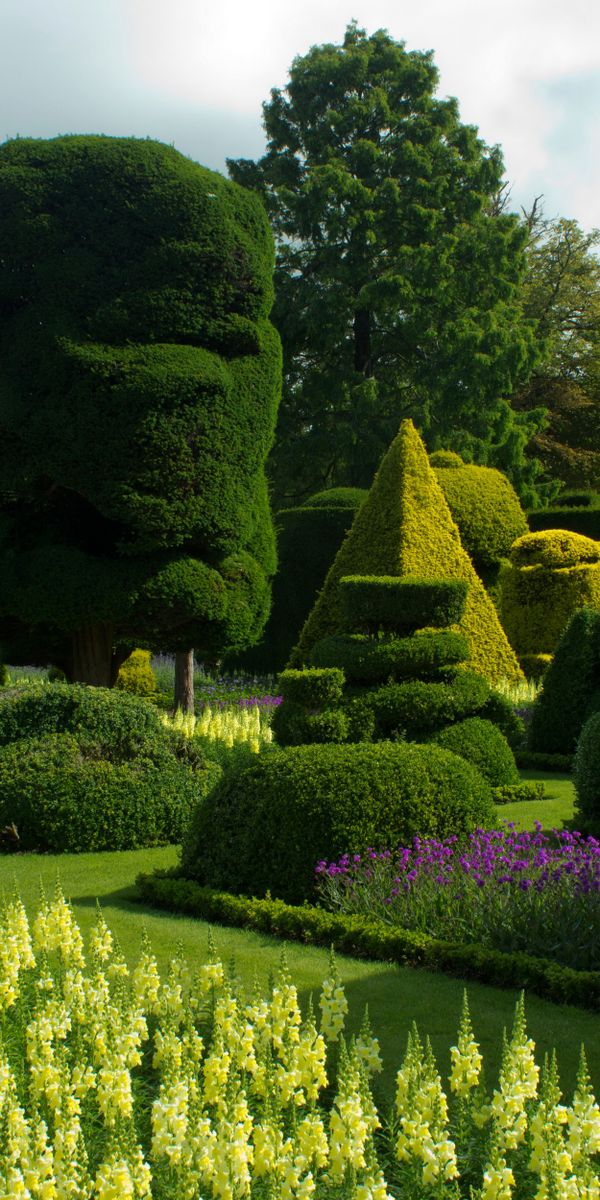 Free Lawns 4K Wallpapers & Desktop HD Backgrounds for PC