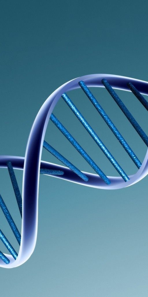 Dna Phone Wallpapers: Free 4K & HD Downloads | mob.org