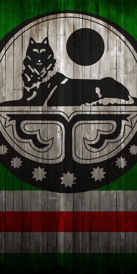 Phone wallpaper: Flag Of Chechnya, Misc 841927